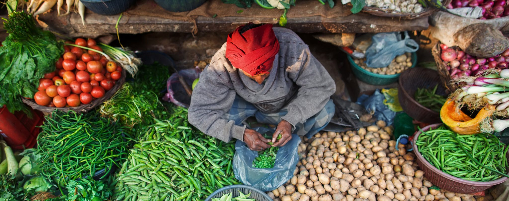 PJP Food History Series: The History of Tomatoes - Penn Jersey Paper